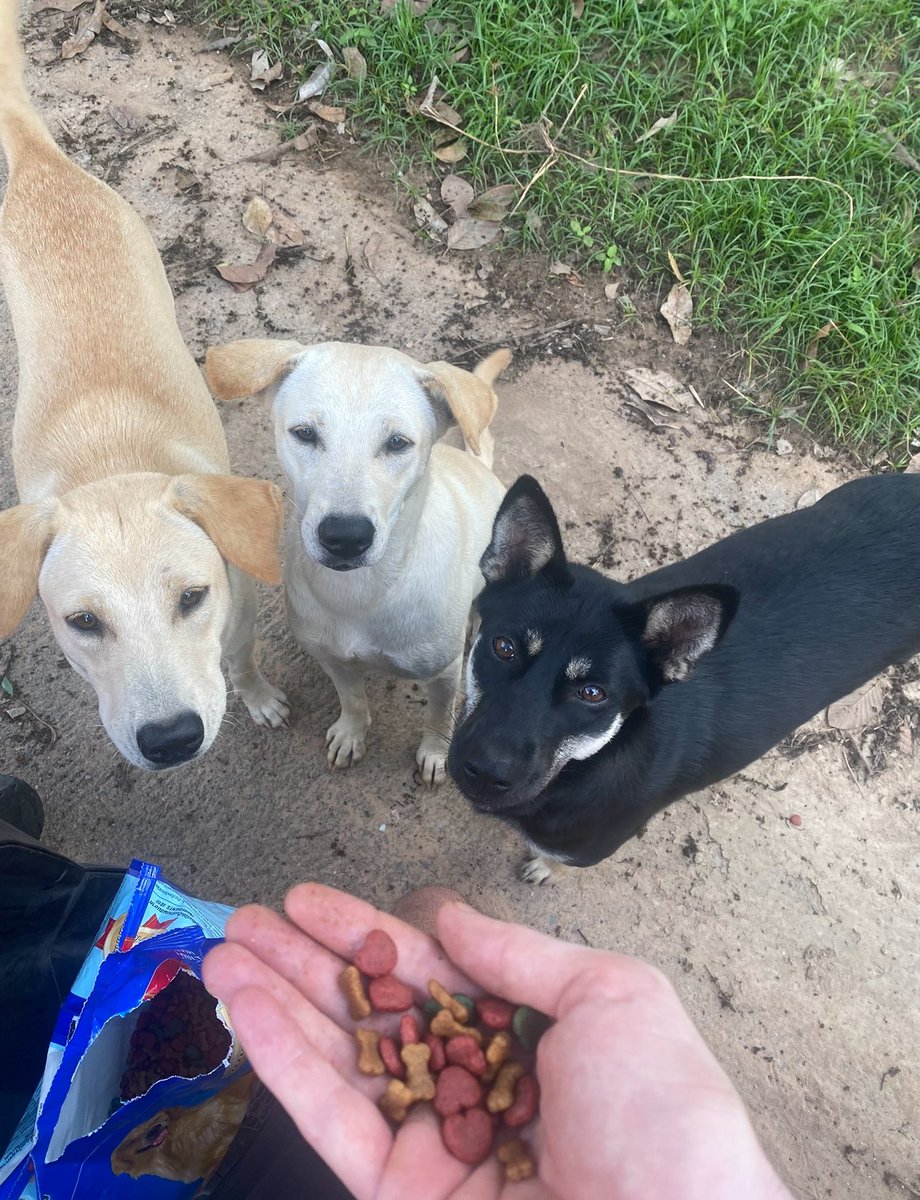 Niall Harbison's Threads – Thread Reader App