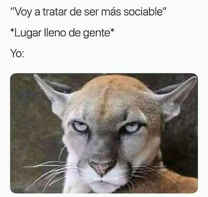 Sere Memes Sere Memes. Best Collection Of Funny Sere Pictures On