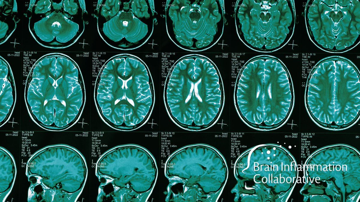 Brain Inflammation Collaborative's Threads – Thread Reader App