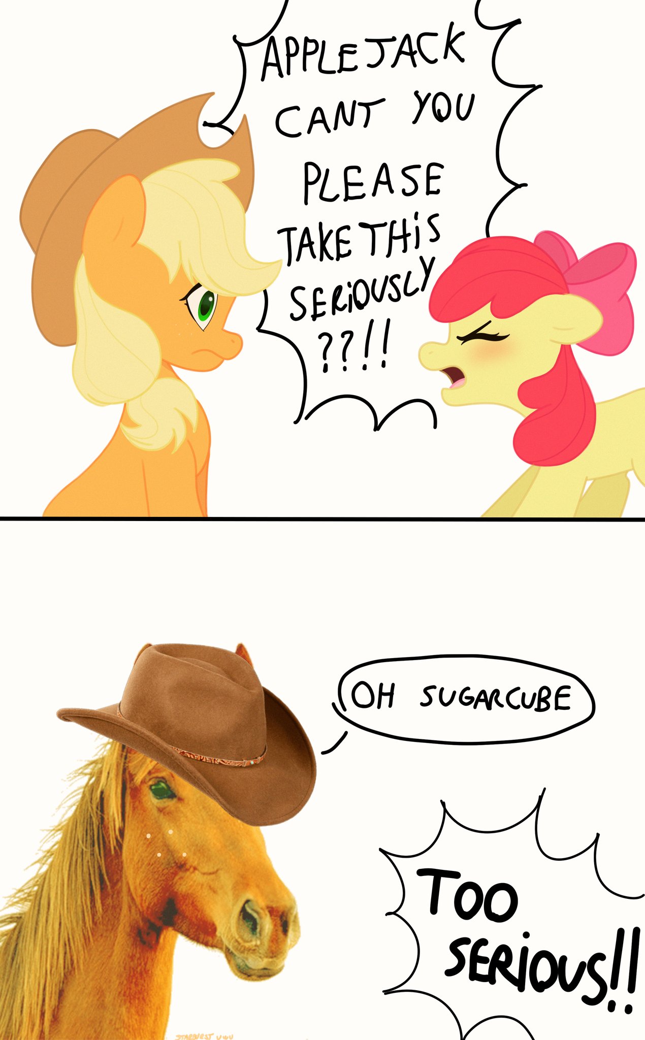 Mlp Applejack Memes