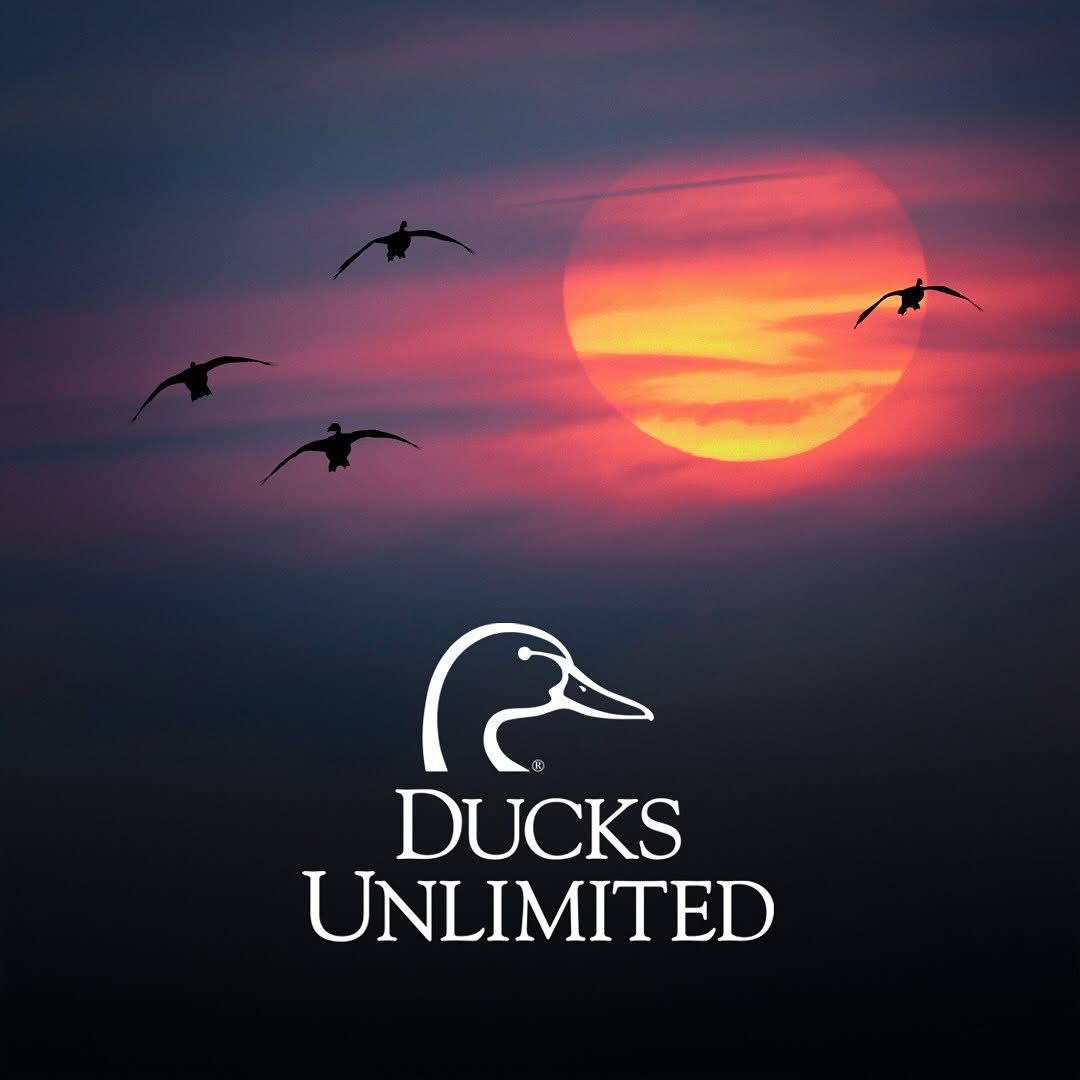 Ducks Unlimited Hunting Wallpaper Youth/Veteran Hunter Waterfowl Day