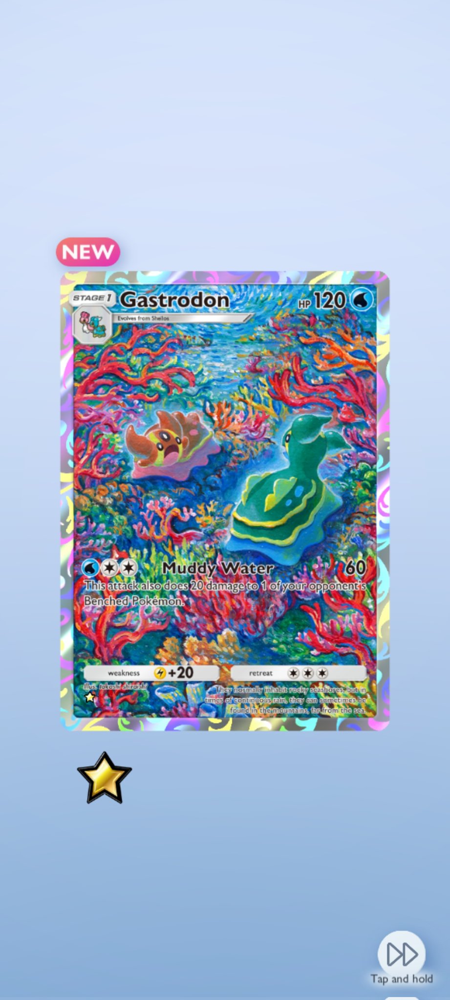 Gastrodon Evolution Chart