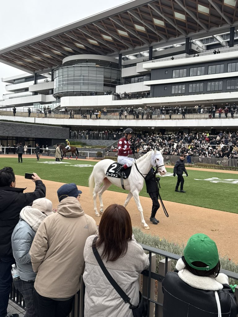 Toshiaki Ibata(@Like_a_ibata) - Twilog (ツイログ)