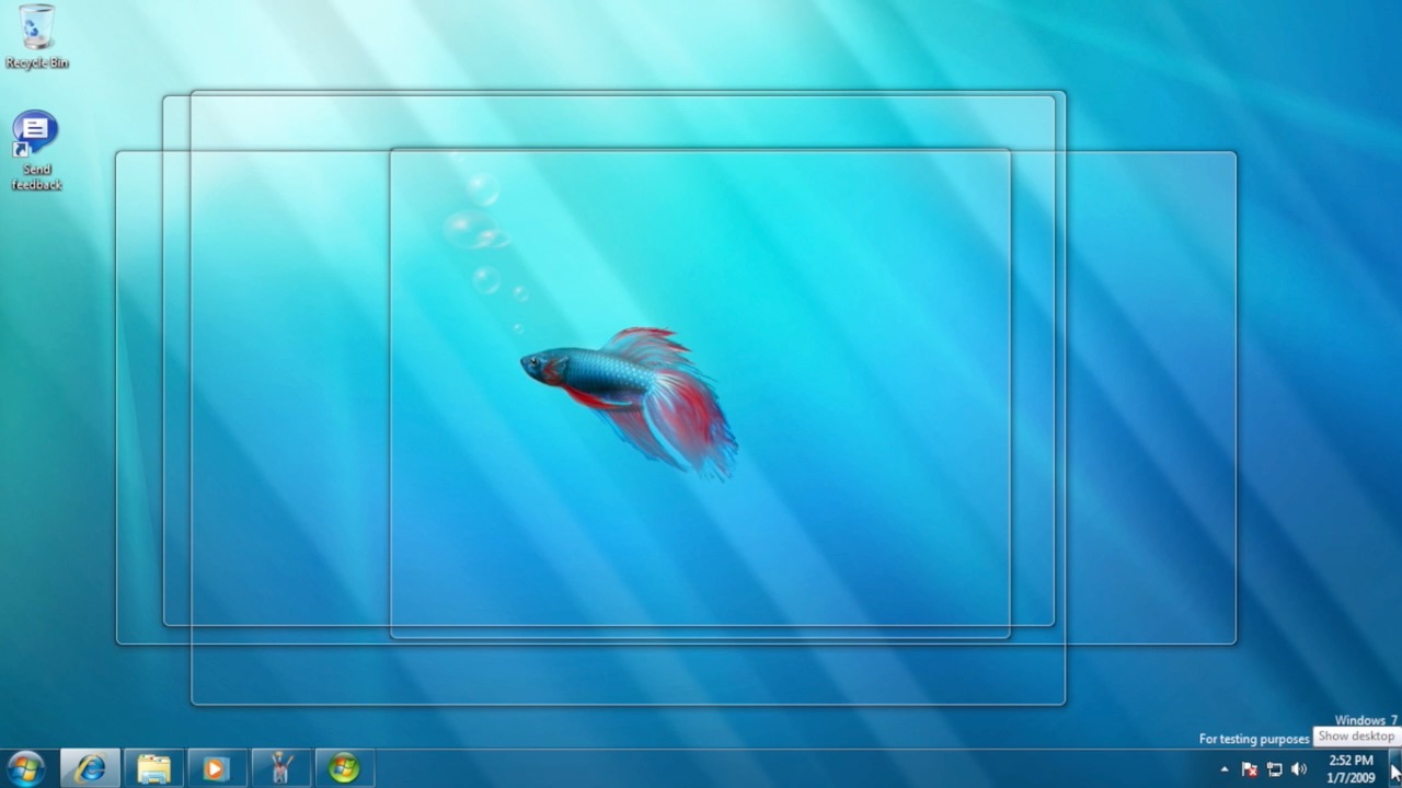 Windows 7 Betta Fish Windows 7 Beta Wallpaper | Stumamodud1970's Ownd
