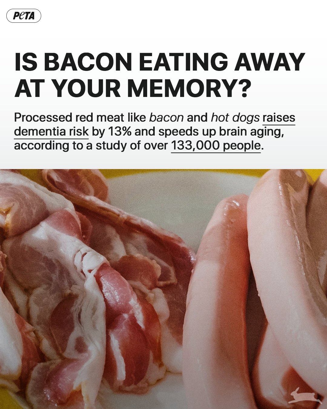 Bacon Facts Memes I Love Bacon And I Know Things V2 Women T Shirt