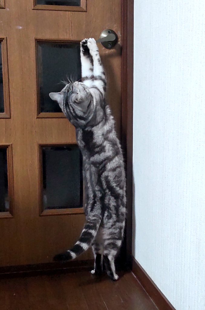 nkmr☆magica(@nkmr_net) - Twilog (ツイログ)