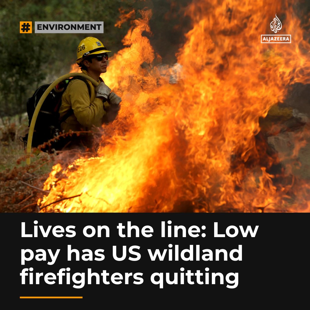 Wildland Firefighter Memes Wildland Fire Recruiting Video