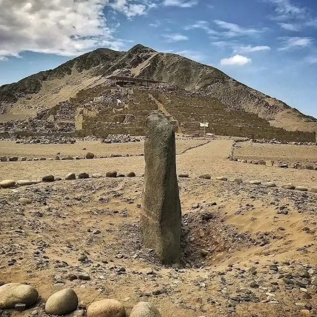 Thread by @CDorado75 on Thread Reader App – Thread Reader App