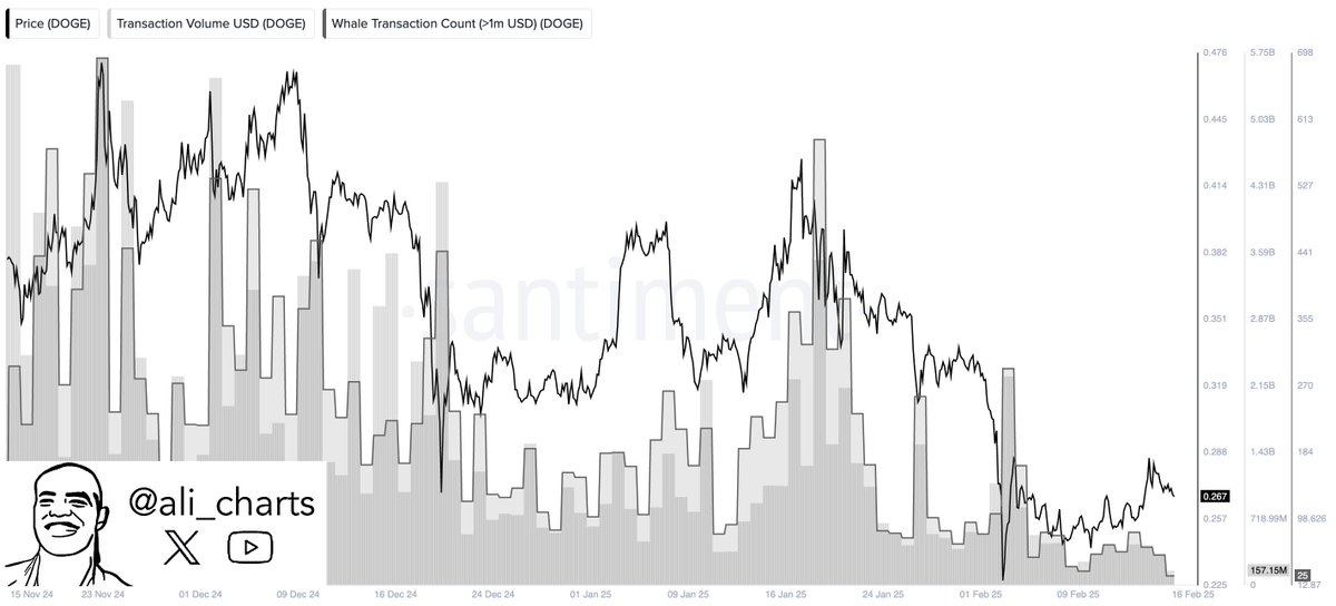 Dogecoin Whales Vanish: Large Transactions Drop By 88% Dogecoin Whales Vanish: Large Transactions Drop By 88%