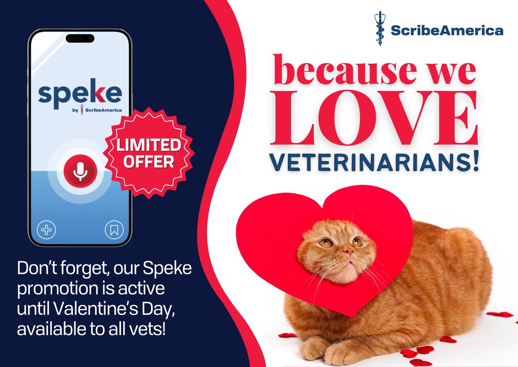 Scribe America Logo 10 Best Medical Scribe Companies In 2024 RevMaxx