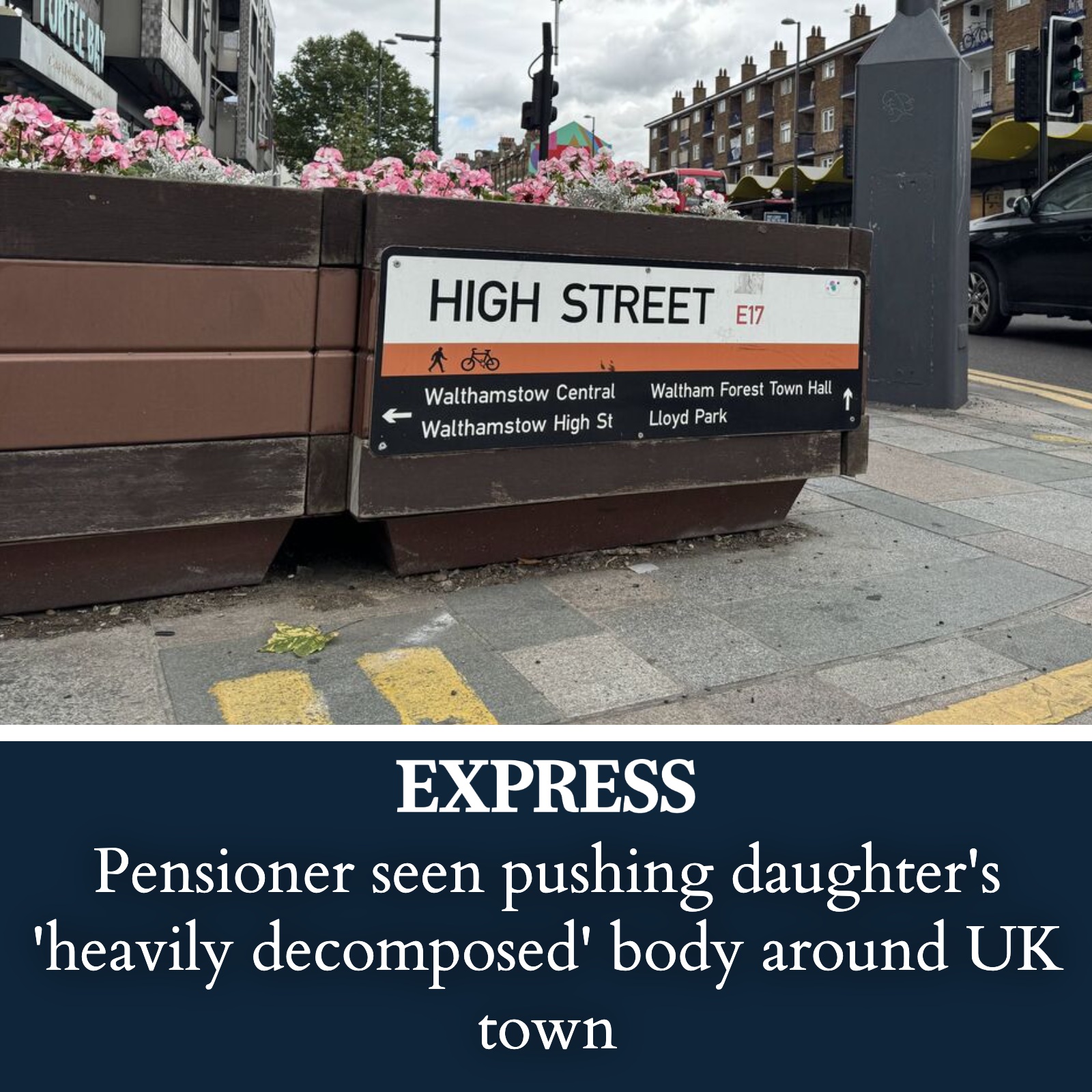 Forest Service Memes