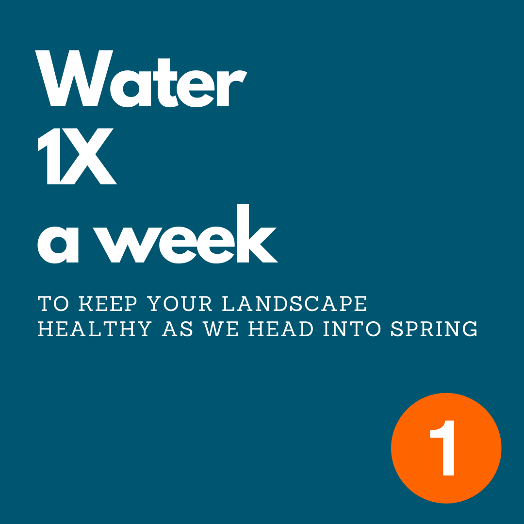 Wcwcd.org Goldilocks And The Reservoir MikeScott4Ivins