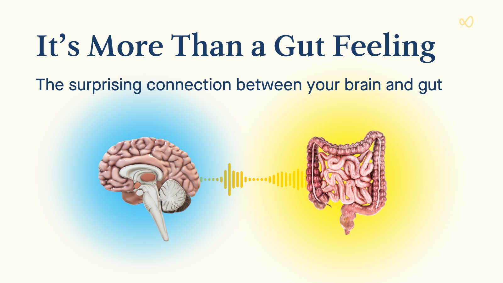 Gut Second Brain How Your Gut Affects Brain Health