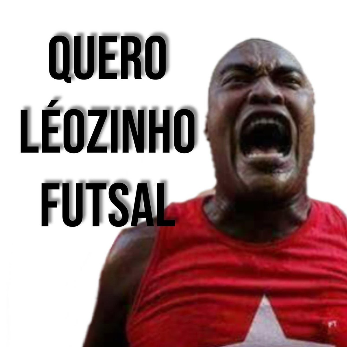 Leozinho Memes