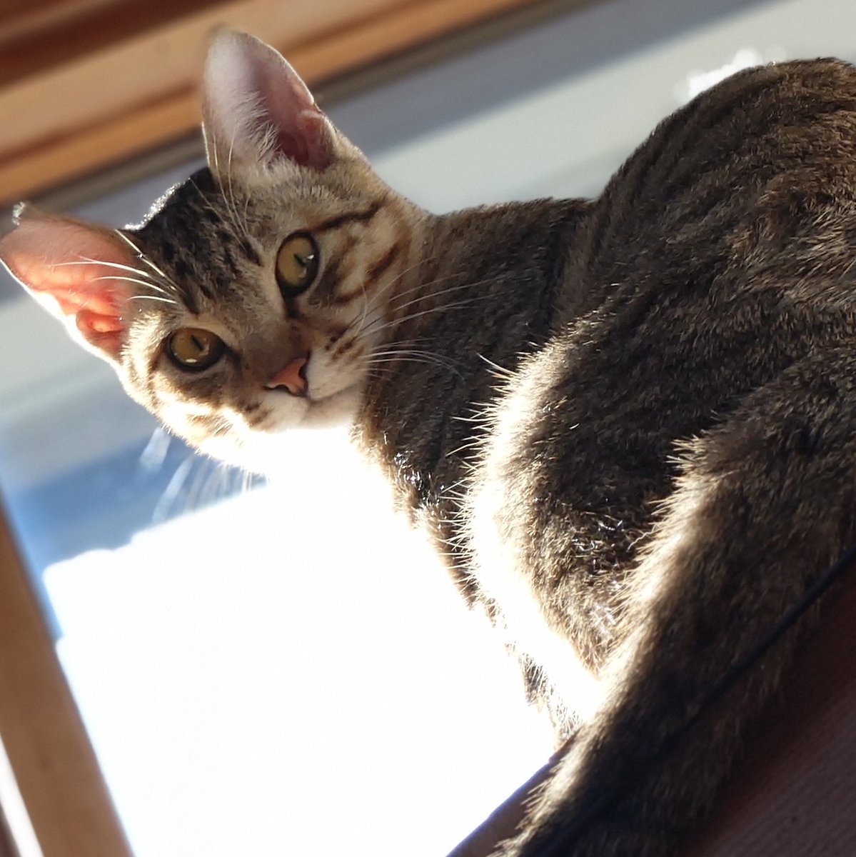 orefolder(@orefolder) - Twilog (ツイログ)