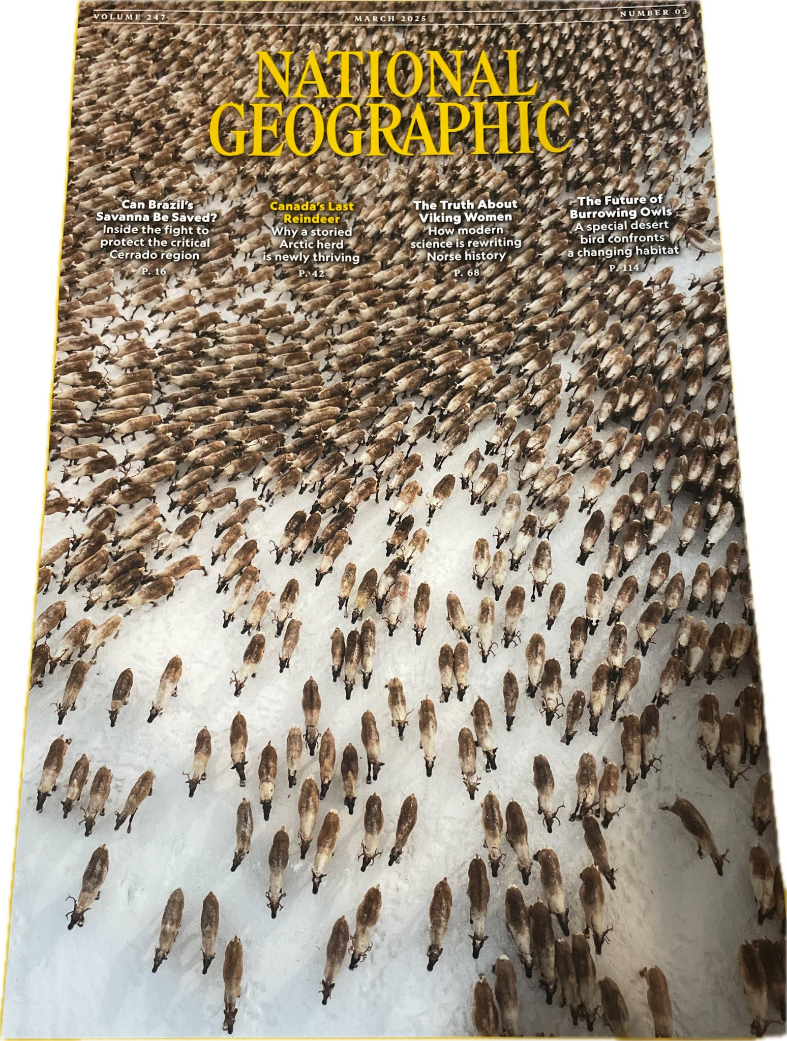 National Geographic Magazine Cover Animals