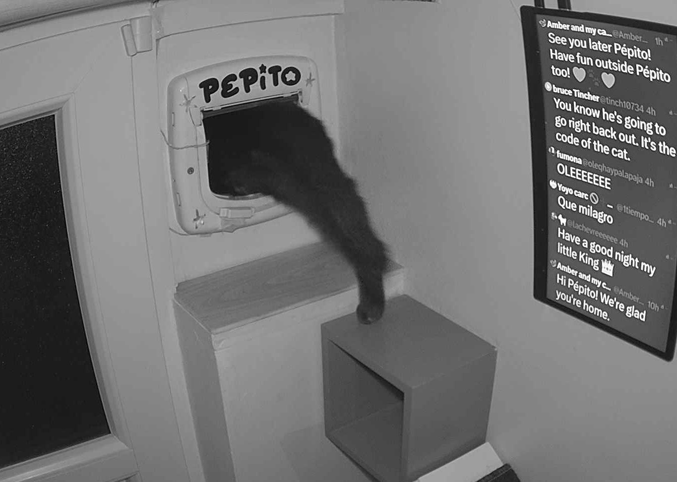 Pepitos Memes 34 Best Chistes De Pepito Ideas | Spanish Jokes, Spanish