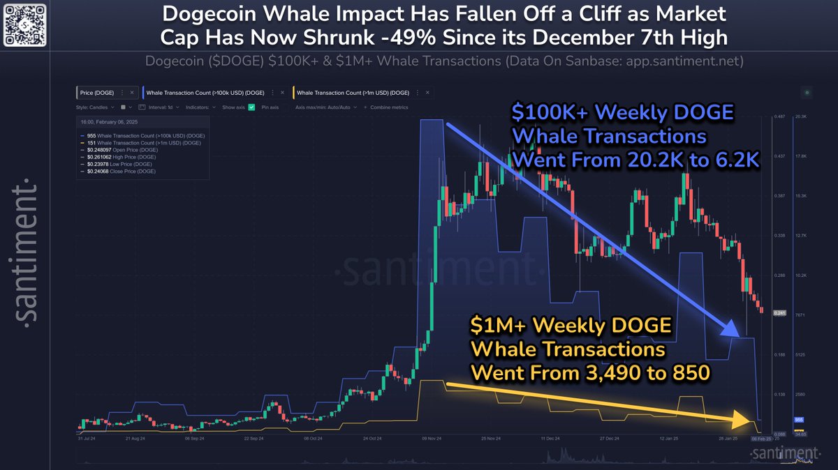 Dogecoin Whales Desert Market: Number Of $100,000 Transactions ... Dogecoin Whales Desert Market: Number Of $100,000 Transactions ...