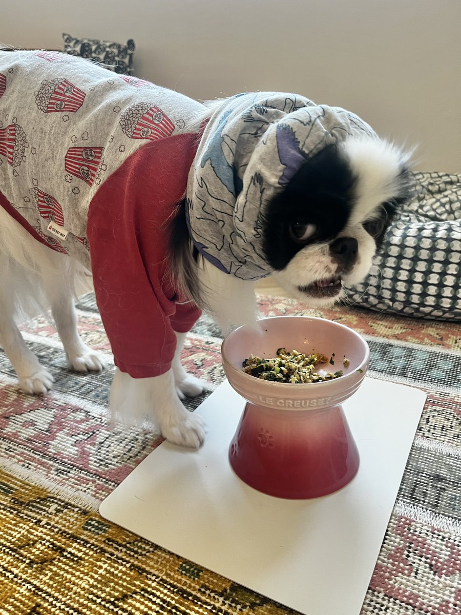 chai, ruby & kii(@ruby_kii) - Twilog (ツイログ)