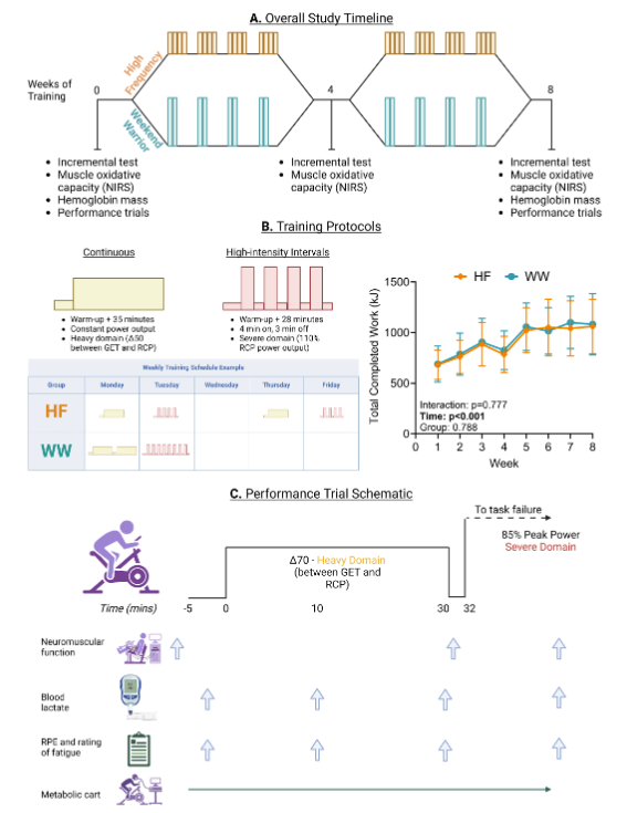 Jackson Fyfe's Threads – Thread Reader App