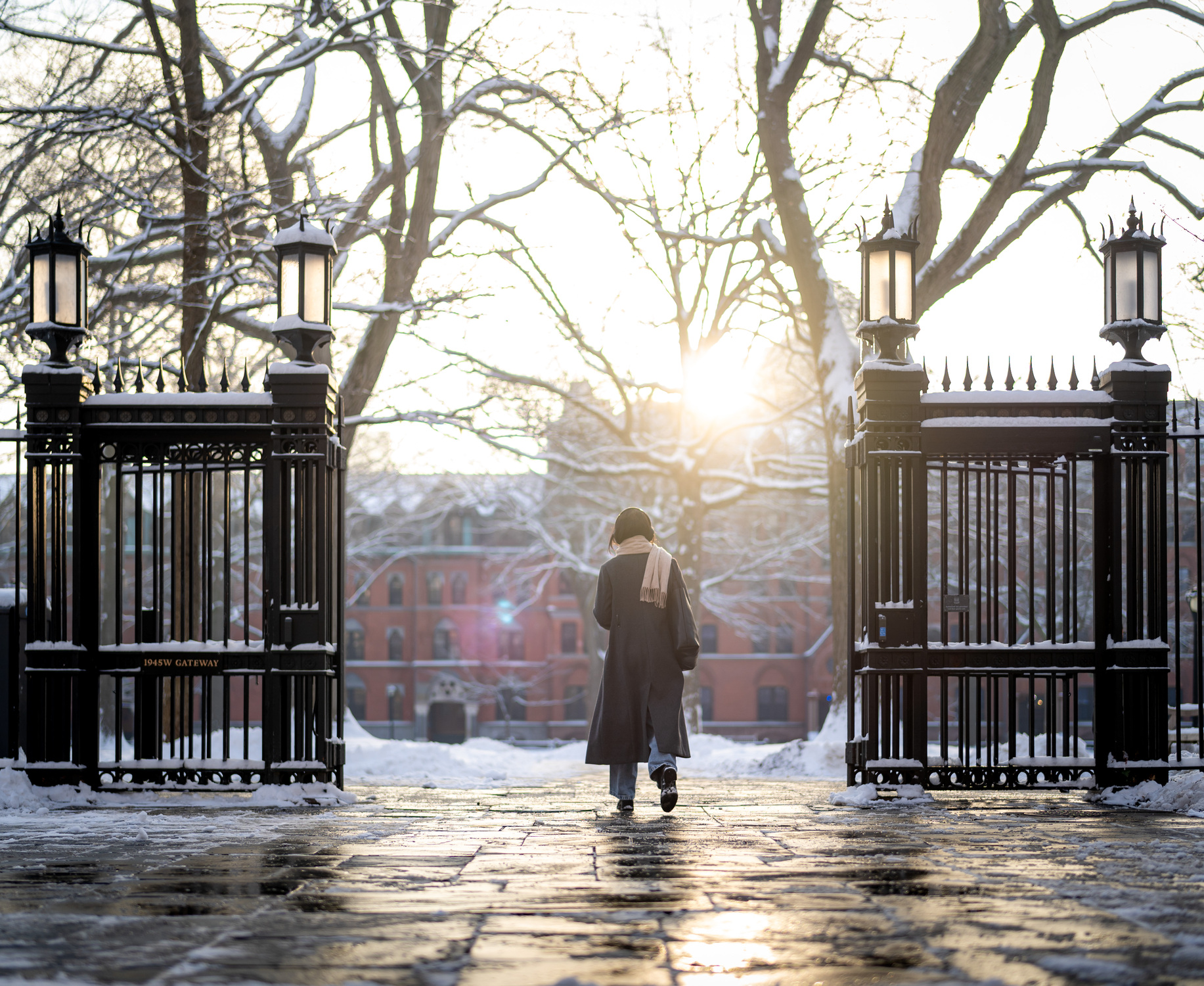 Yale University Campus Winter Yale University Buildings In Winter
