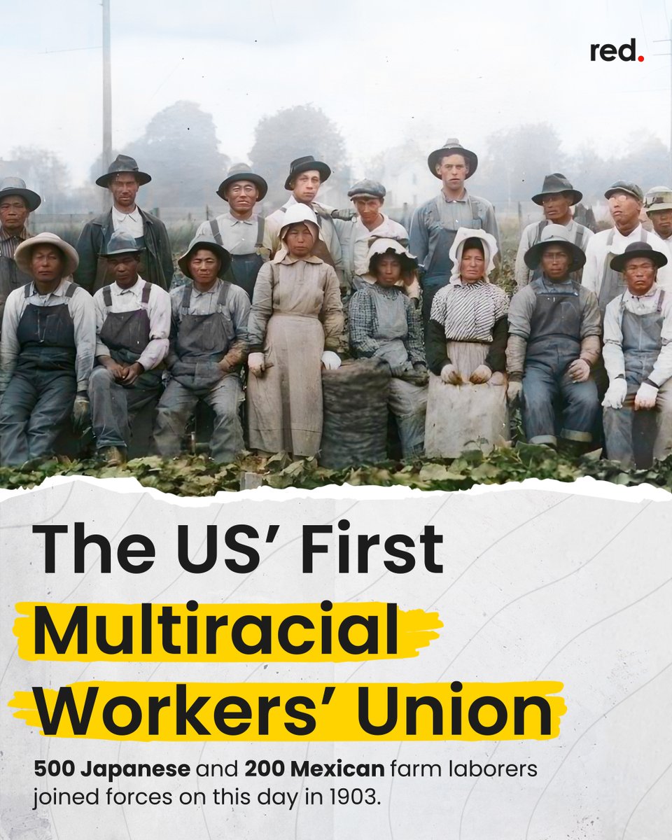 red.'s Threads – Thread Reader App