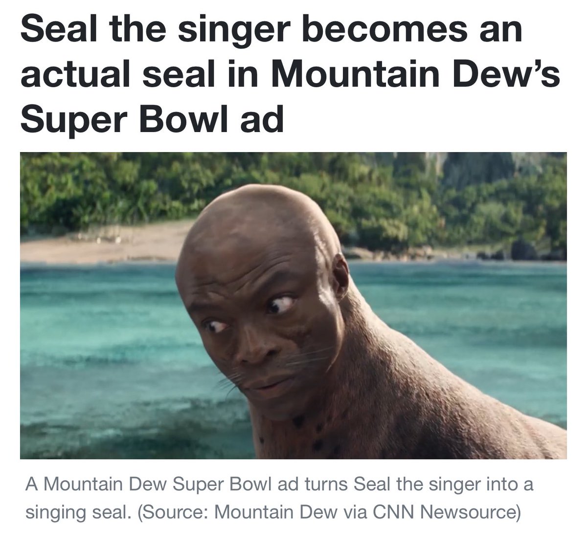 Seal Singer Meme