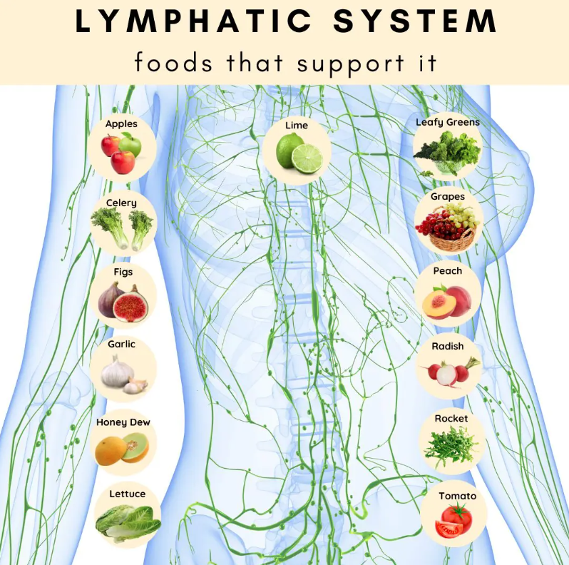Your body's natural detox machine: The Lymphatic System. It's ...