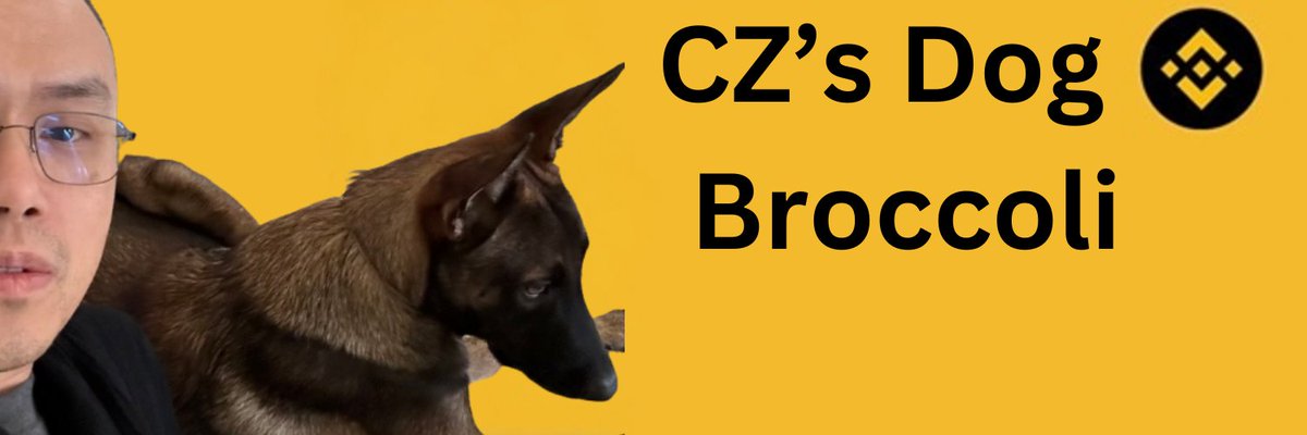 CZ's Dog | Broccoli (@czdog_solana) / Posts / X
