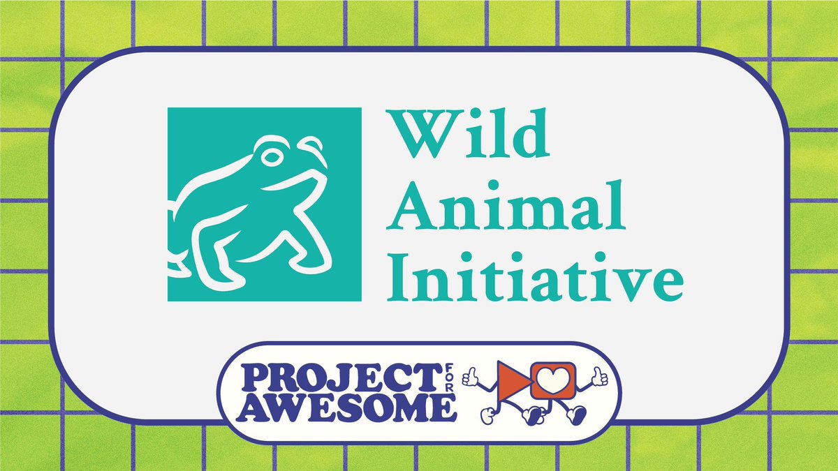 CASE STUDIES | Dr Blake Morton