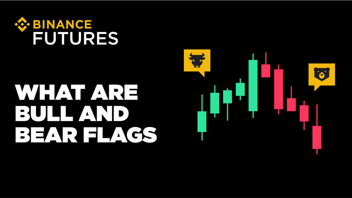 CoinStats - Master the art of spotting flags in crypto! L...