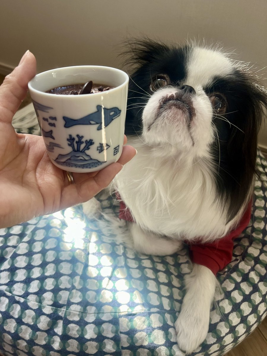 chai, ruby & kii(@ruby_kii) - Twilog (ツイログ)