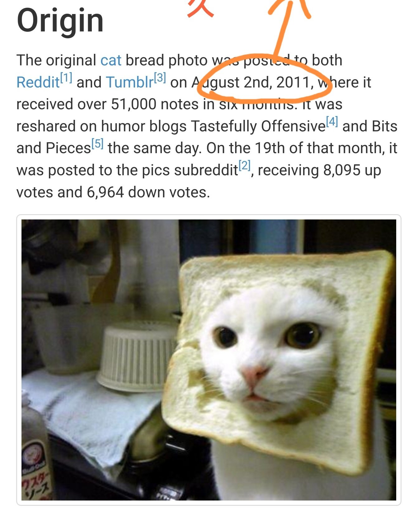 Bread Cat Memes Sensitive Bread Cat – (Meme) | Vision Of The Future