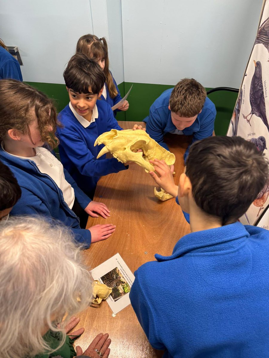 Wigmore Primary School | Nurturing Excellence