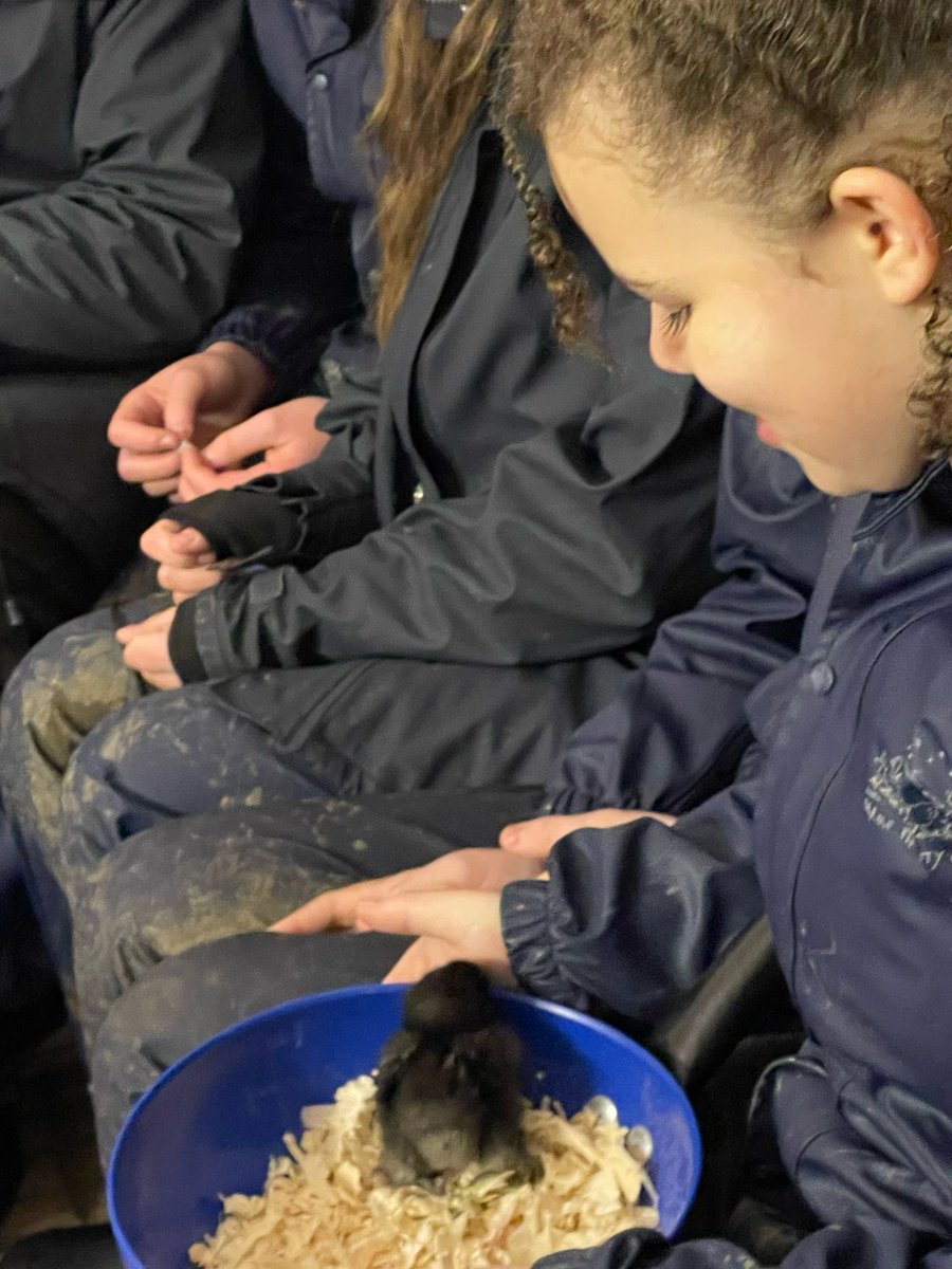 Welcome to Springwest Academy