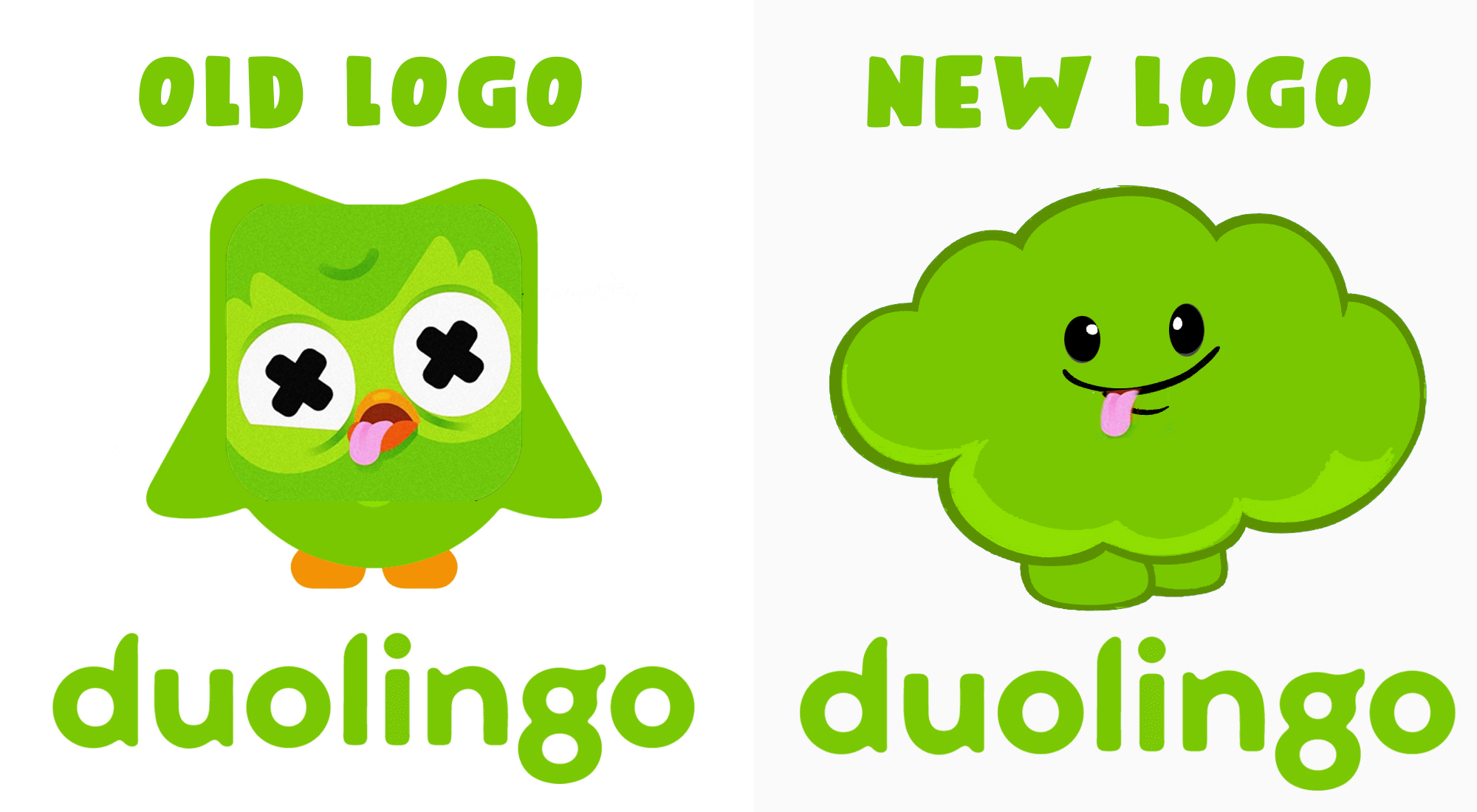 Duolingo Logo How To Change Your Duolingo App Icon