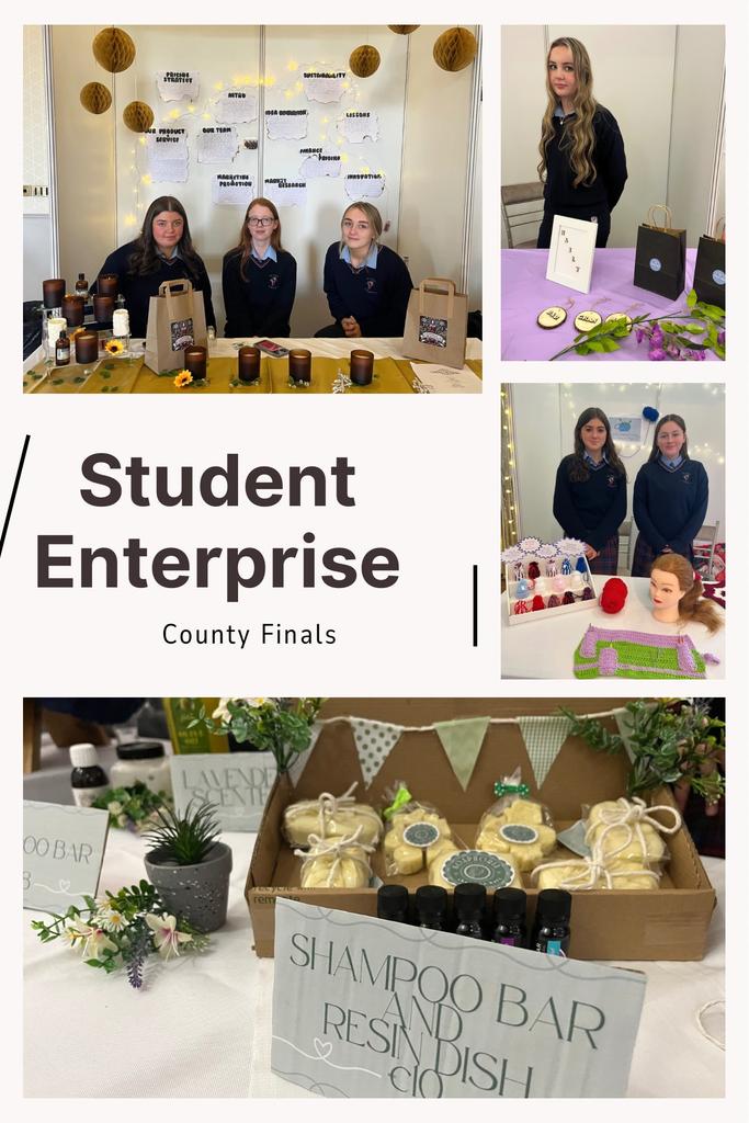Student Enterprise Programme - Ireland’s Largest & Most Successful ...