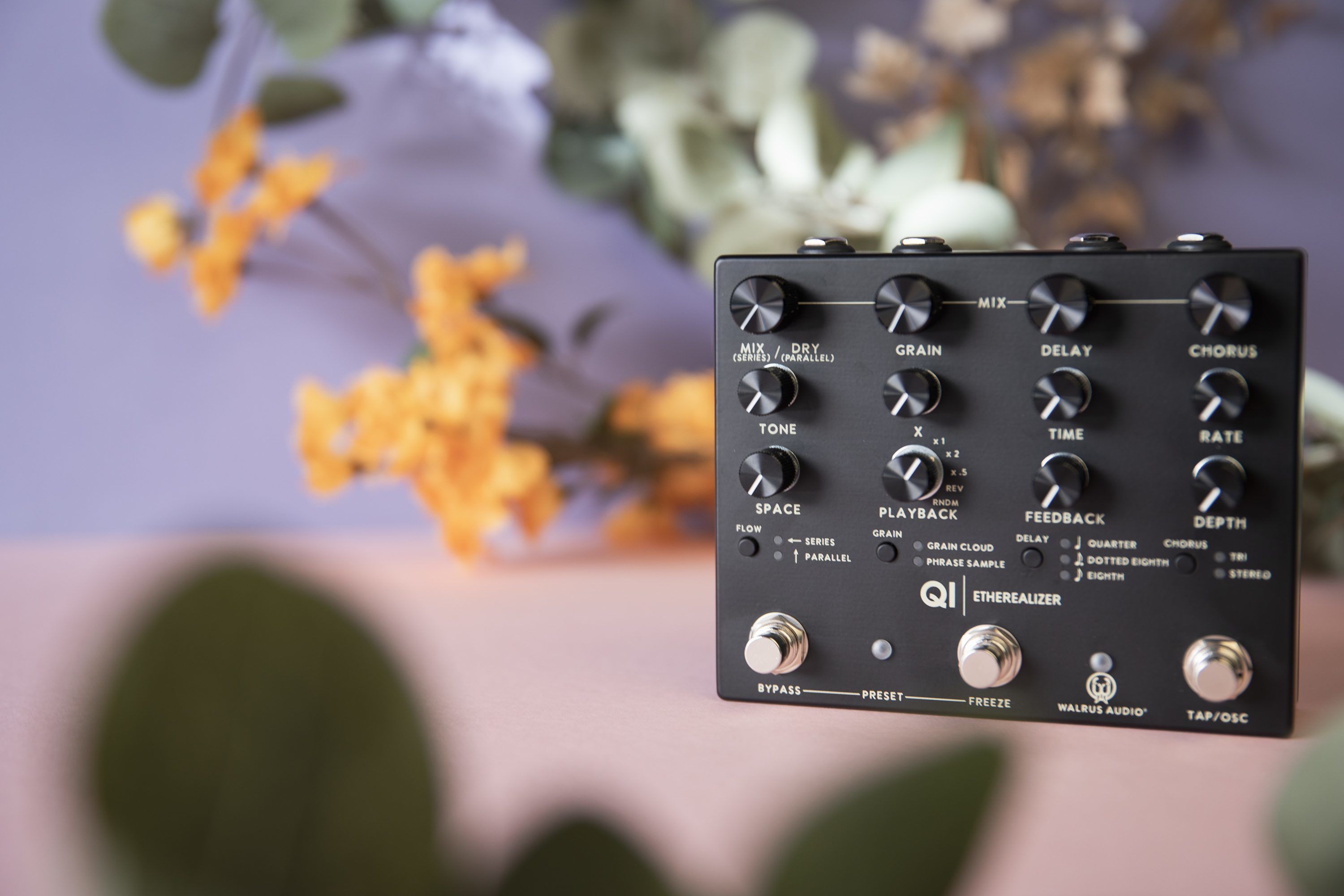 Walrus Audio JP (@WalrusAudio_jp) / X Walrus Audio JP (@WalrusAudio_jp) / X