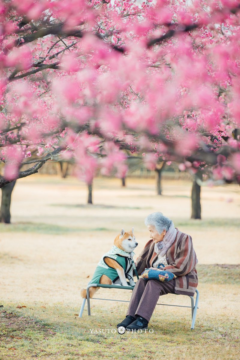 Yumiko ASAKURA(@Yu_mi_ko_888) - Twilog (ツイログ)