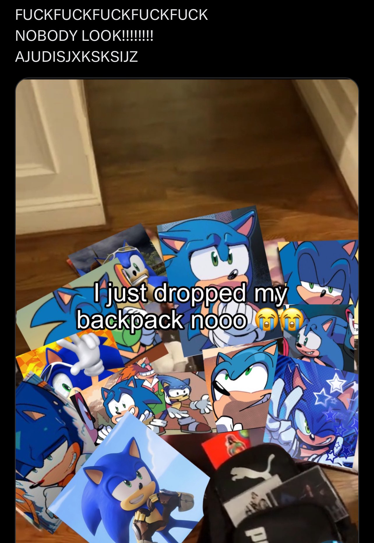 Sonic Justice Memes Juniper The Cat On X: "https://t.co/Y6x1g5wA64"