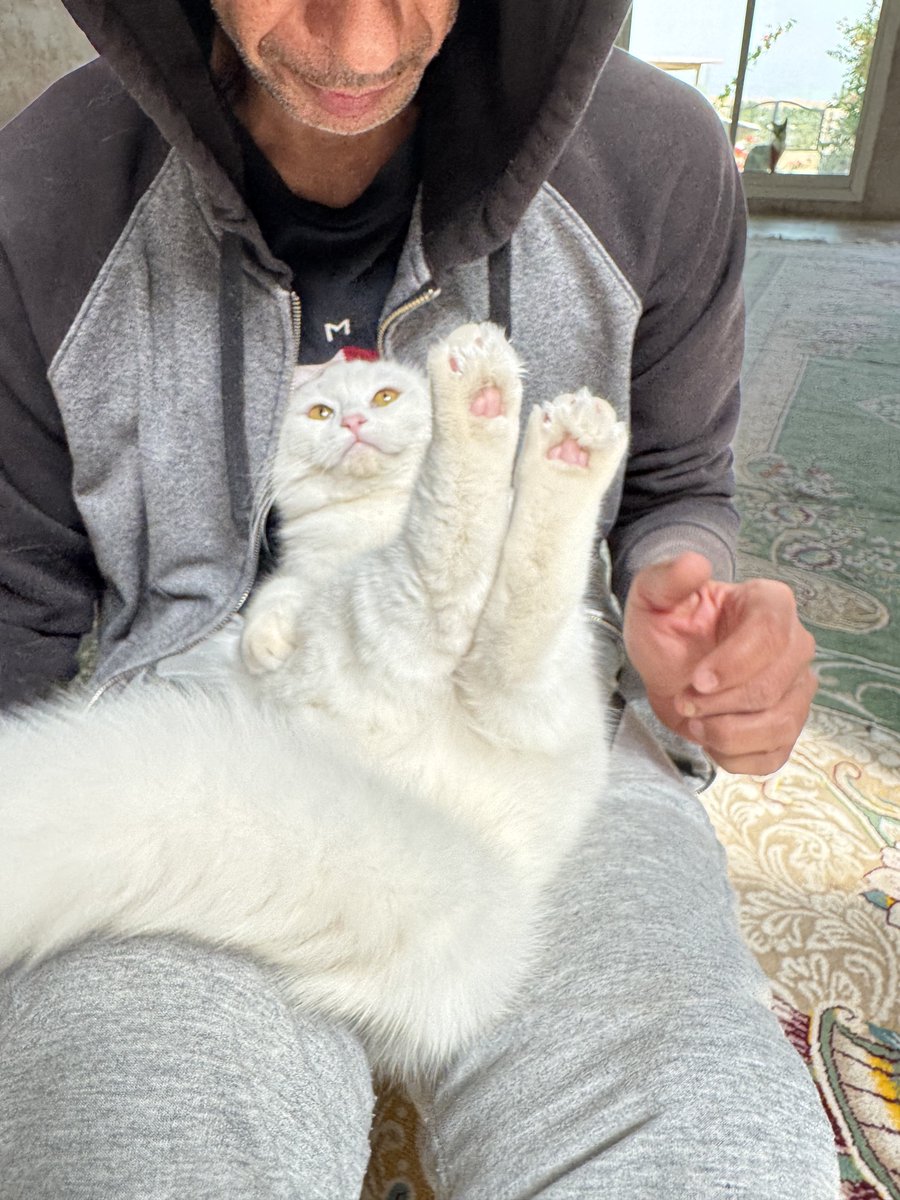 はなもも(hanamomo)(@hanamomoact) - Twilog (ツイログ)