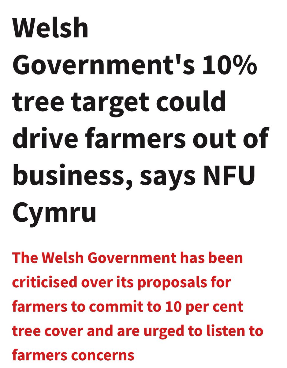 DOGE Wales 🏴󠁧󠁢󠁷󠁬󠁳󠁿💰's Threads – Thread Reader App