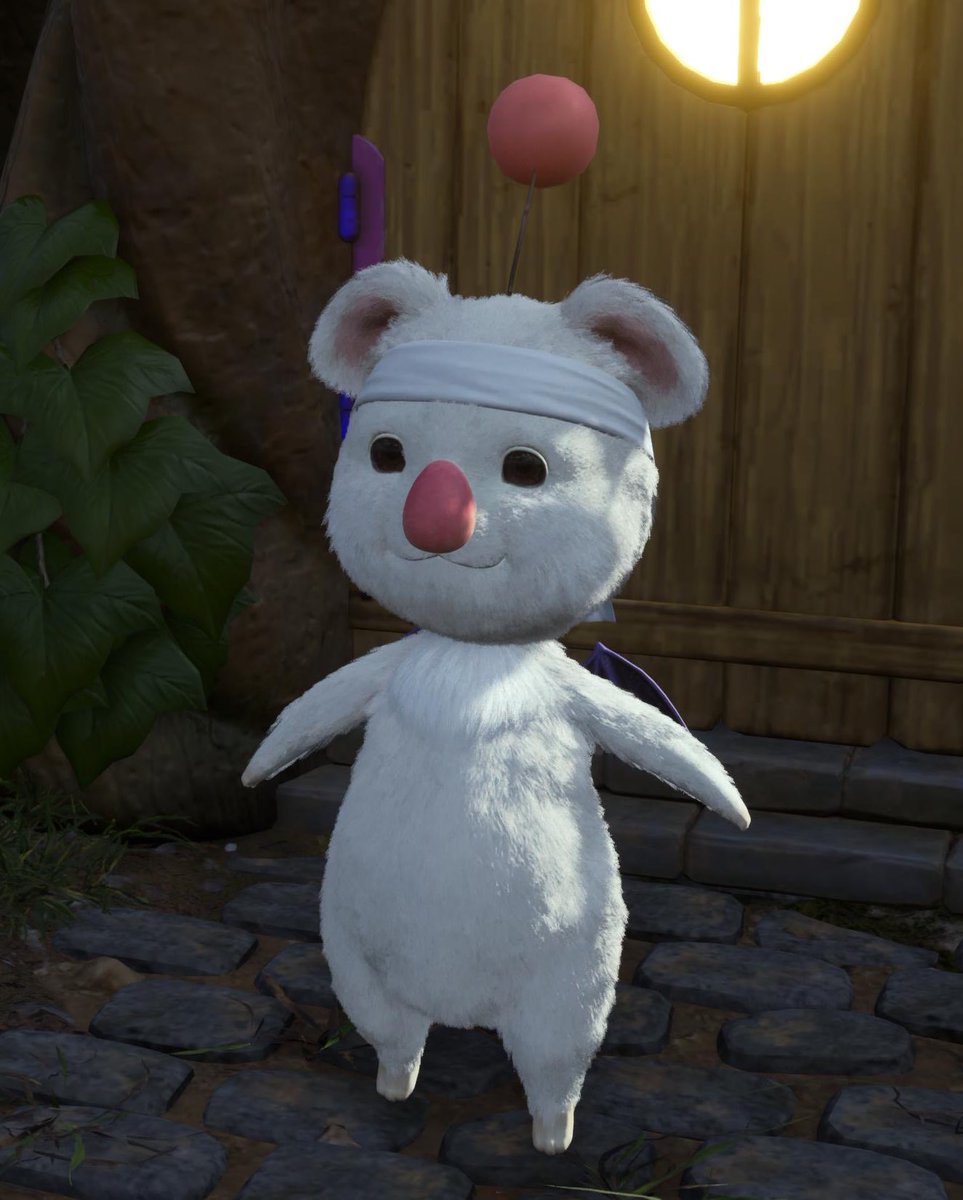 さめ72（本物）(@SAMEX_1u2y) - Twilog (ツイログ)