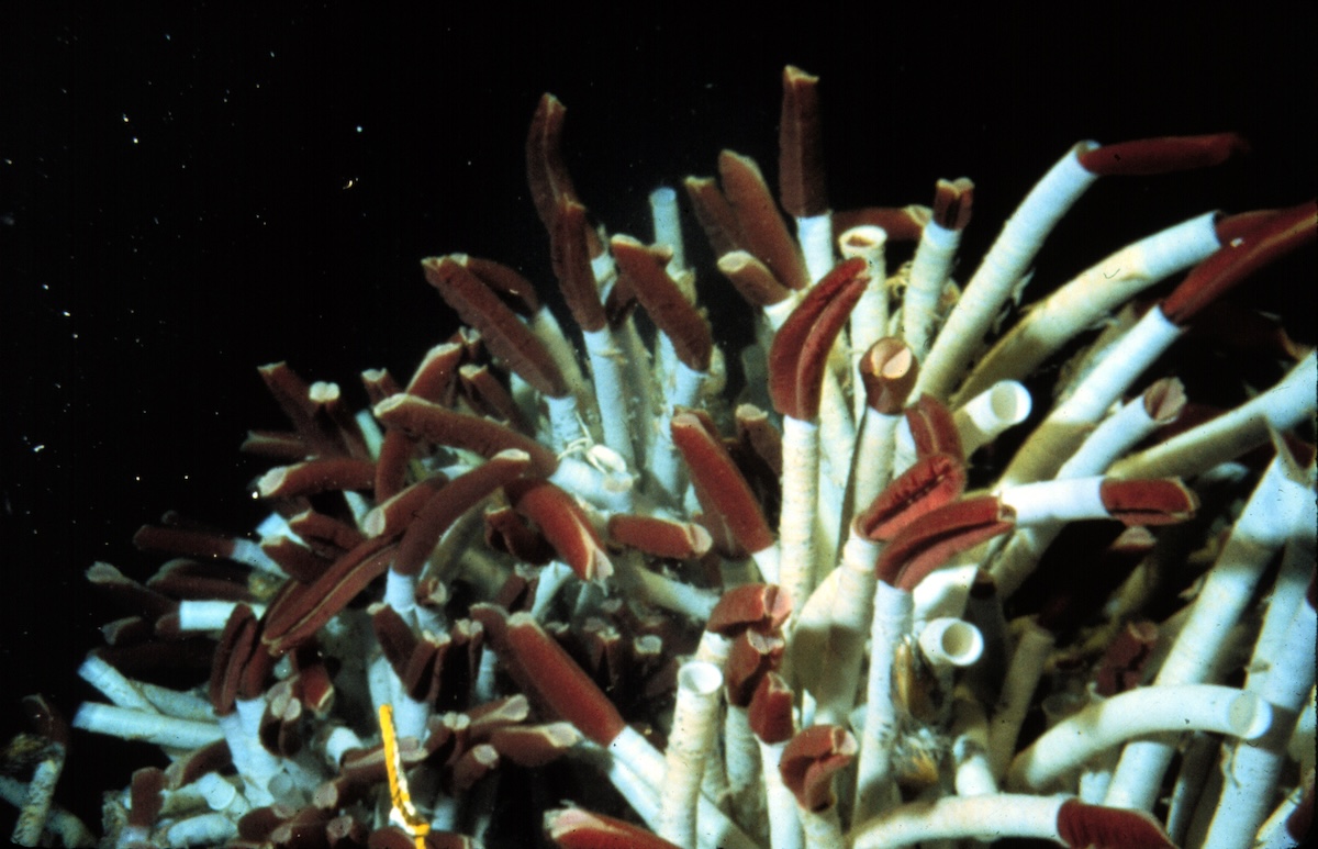 Tropical Climate Dynamics Lab