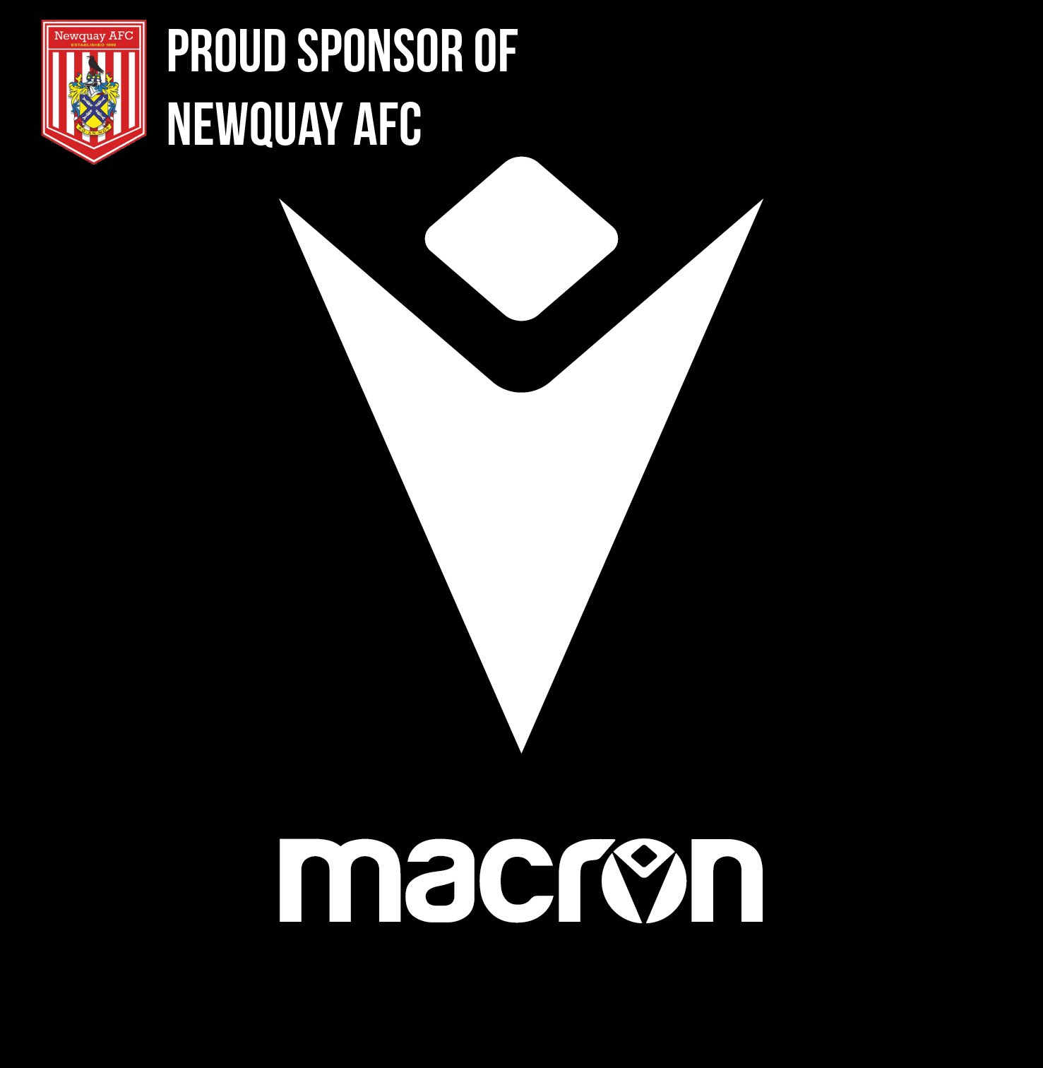 Newquay Logo Newquay Towan Blystra Lions Club | Serving Newquay And