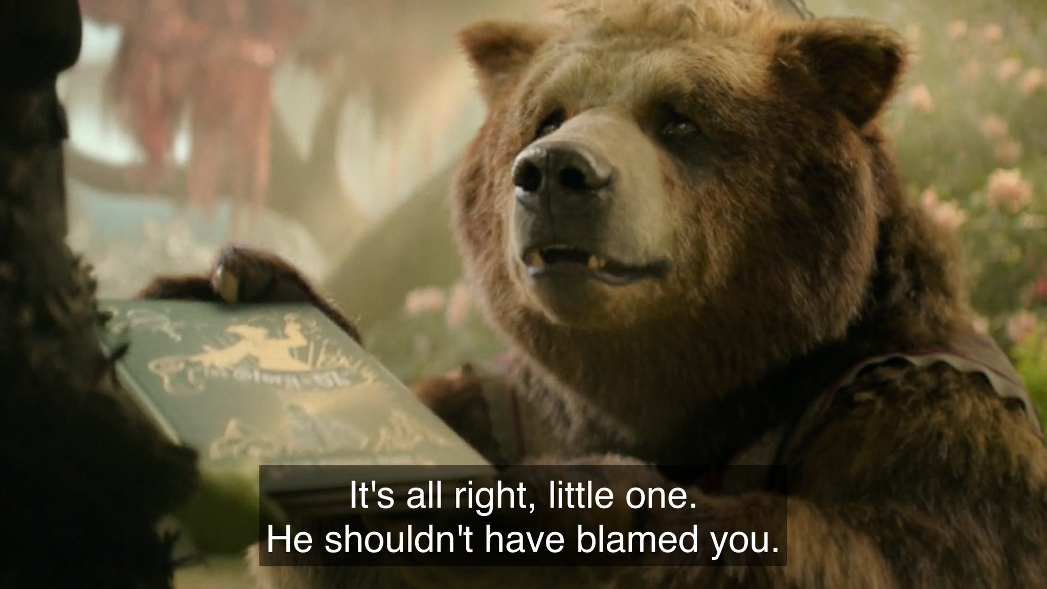 Leonardo Bear Oscar Memes 10 Hilarious Memes Of Leonardo DiCaprio