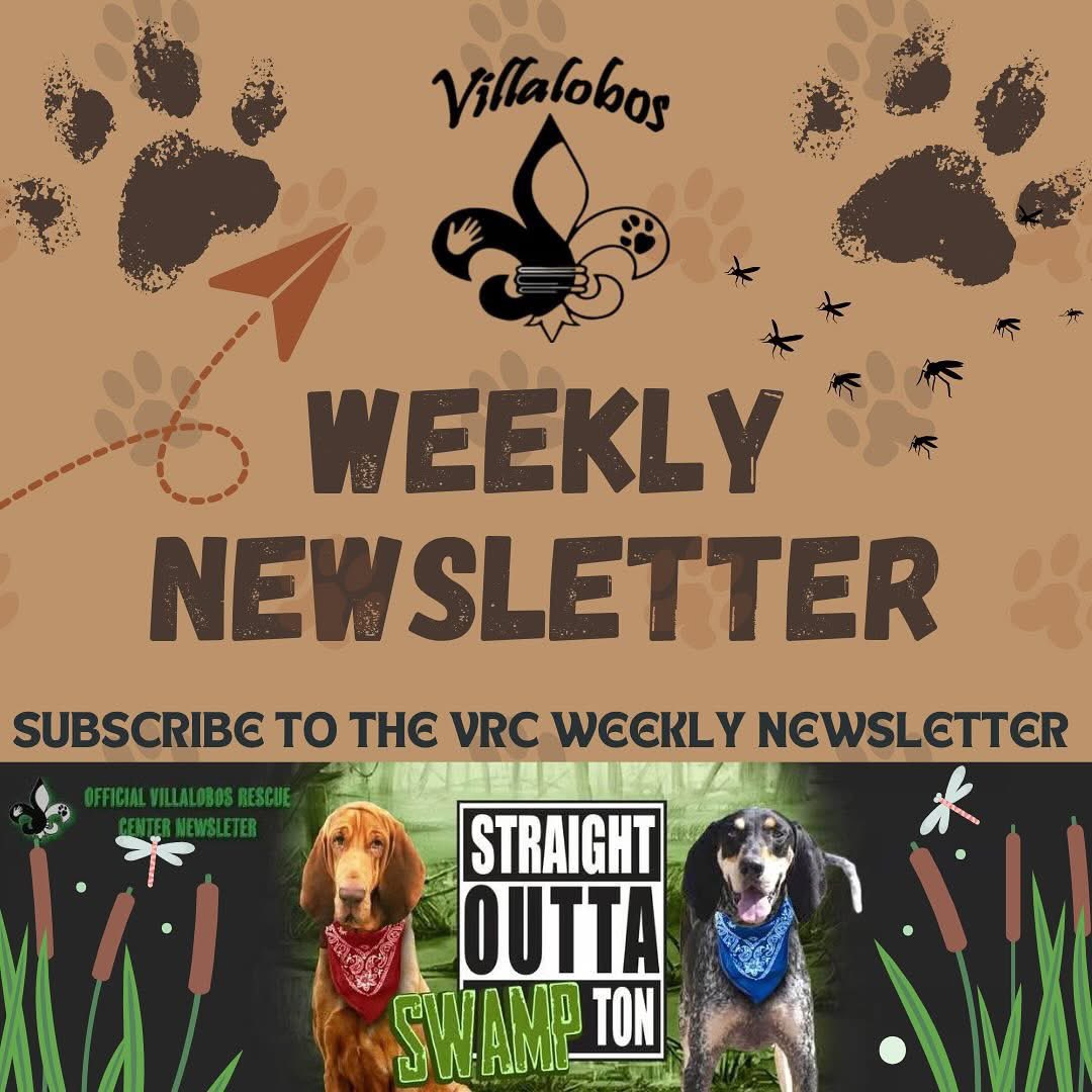 Villalobos Rescue Logo