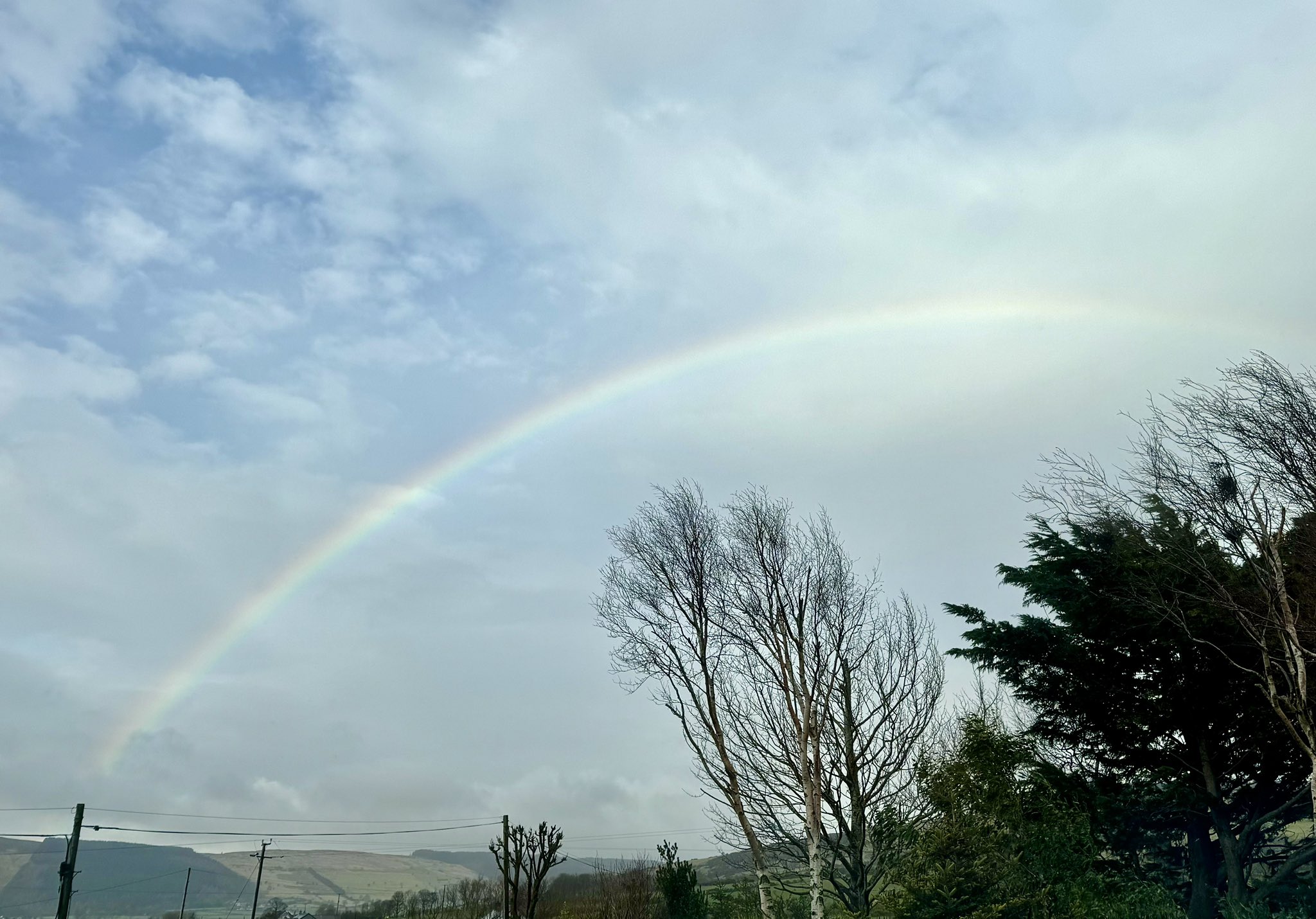 Parabola In Nature Examples