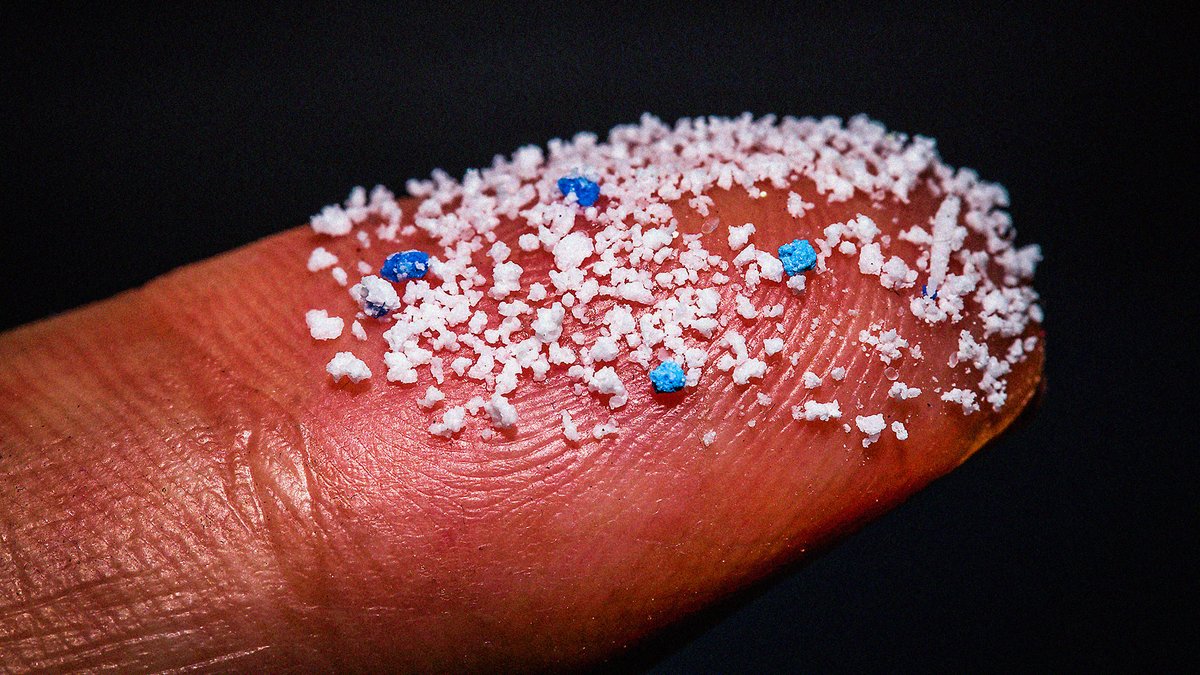 Michael Morelli's Threads – Thread Reader App