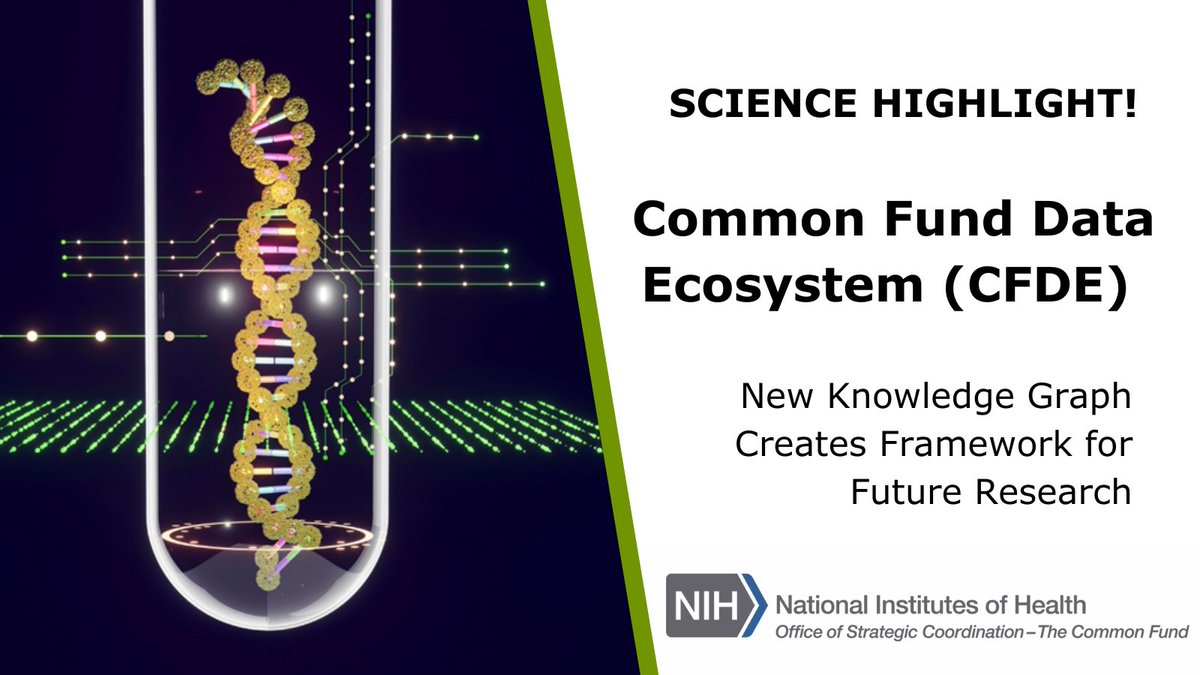 CFDE Information Portal